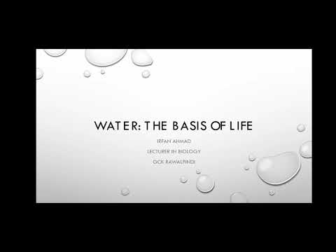 Ist year Biology Lecture#2 chap#2 Water: the basis of Life - YouTube