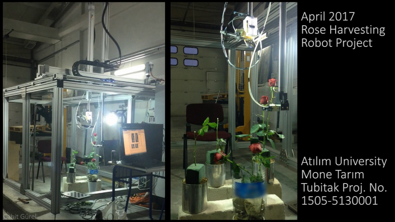 Rose Harvesting Robot Ver.2 - Multiple Rose Gripping, Traking and ...