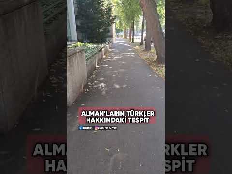 Alman işi arkadaşlarımın Türkler hakkındaki tespiti \