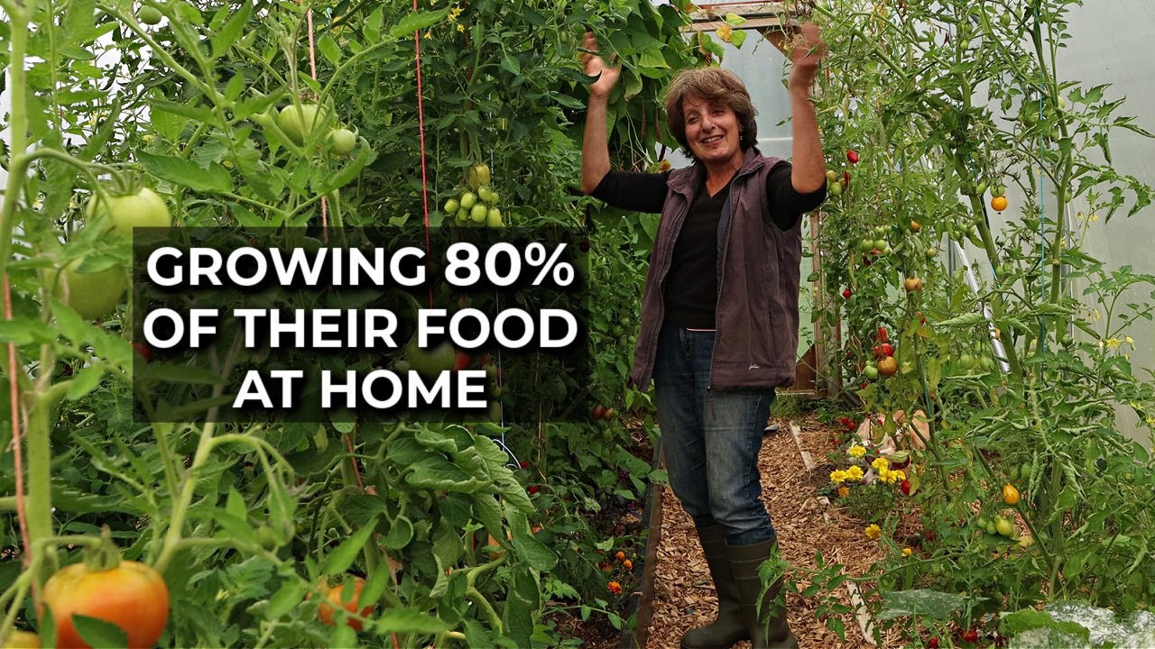 Incredible Abundance in a Small Garden | Self-sufficiency on a Small ...
