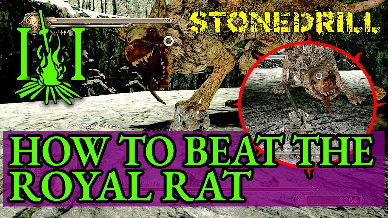 DARK SOULS 2 How to beat to Royal Rat Authority - DS2 Guide - YouTube