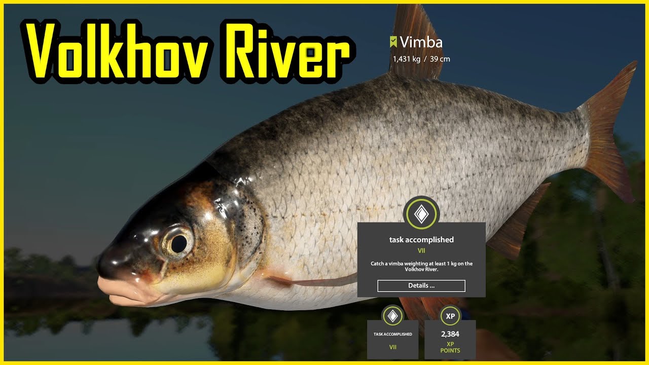 two spots Vimba Certa | Volkhov - Rzeka Wołchow Russian Fishing 4 - YouTube