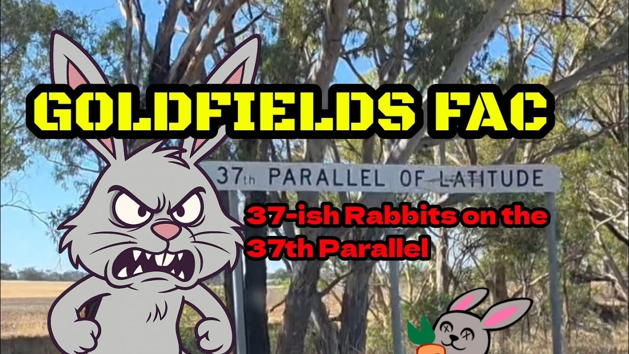 EPIC Rabbit Hunting Trip! Big Hits and Backflips! 30 Plus Rabbits ...