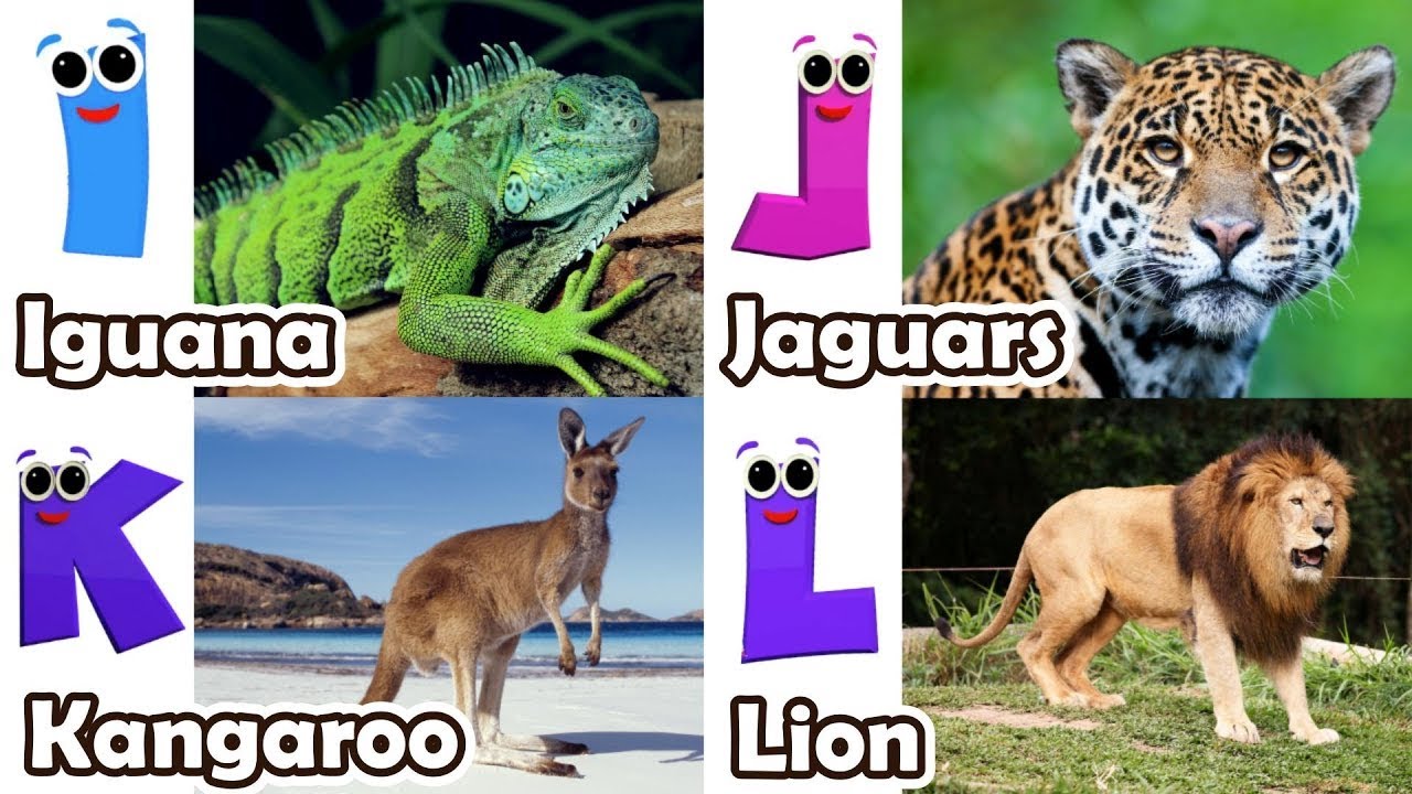Animals ABC Song for Kids | Phonics for Kids | Alphabet Letters | Learn ...