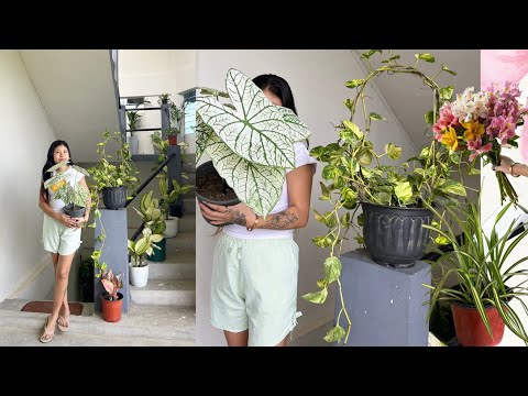 🌸mom of two /daily vlog✨happy moments 💐🫧,plants care ☀️🍃 