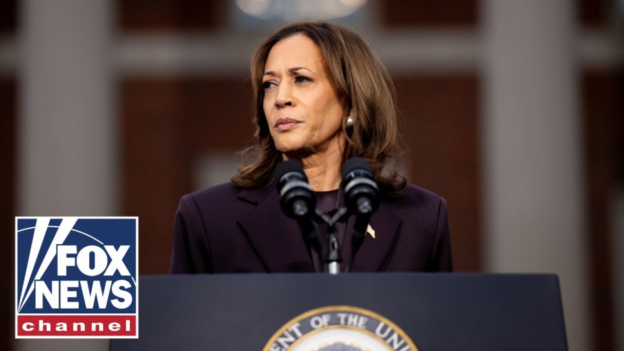 'EPIC DISASTER': Kamala Harris donors furious after 2024 loss - YouTube