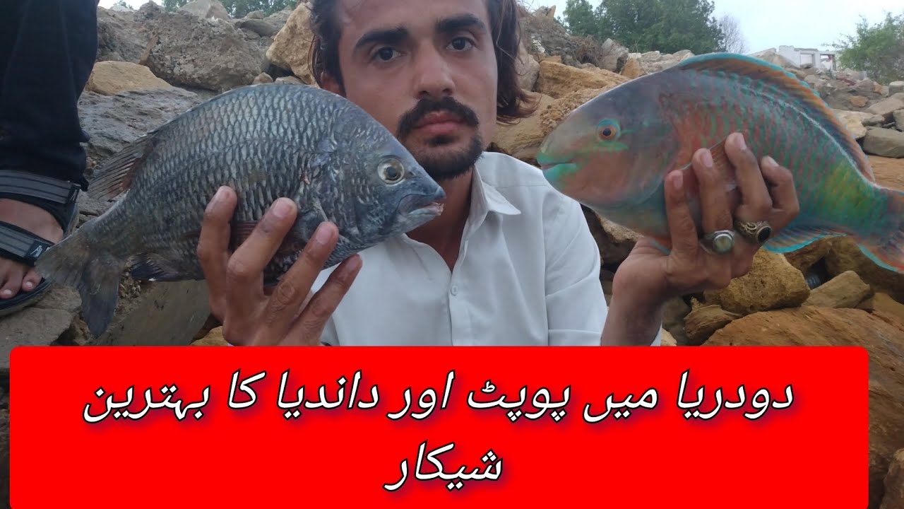 do darya popat & dandia fish ۔۔ دو دریا میں پوپٹ اور داندیاکا بہترین ...