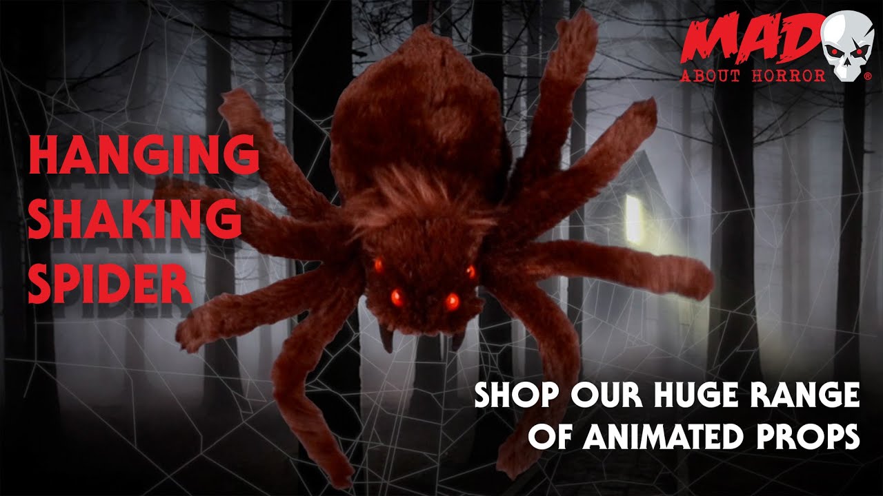 Hanging Shaking Spider Animated Prop - YouTube