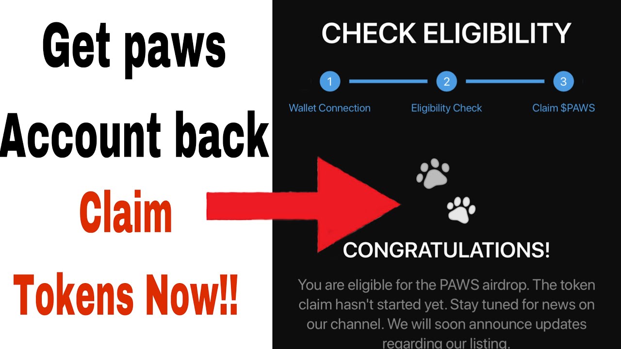 How to Get Paws Account Back/ Claim paws Tokens Now! #paws #airdrop ...