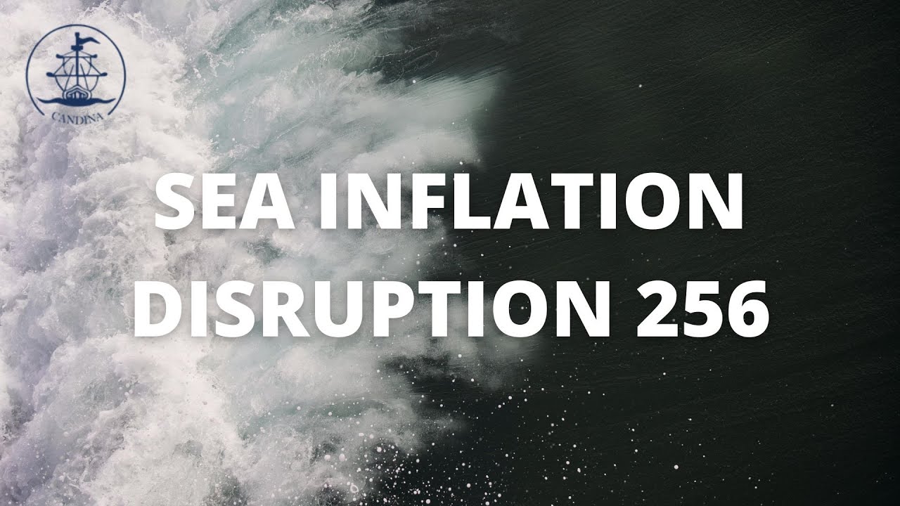 SEA INFLATION DISRUPTION 256 - YouTube