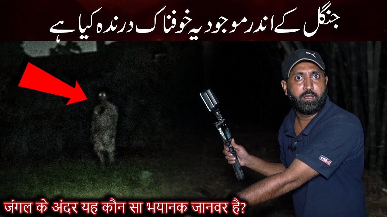 A Forest So HAUNTED 😨GHOST Videos SO SCARY | Horror Ghost Video | Woh ...