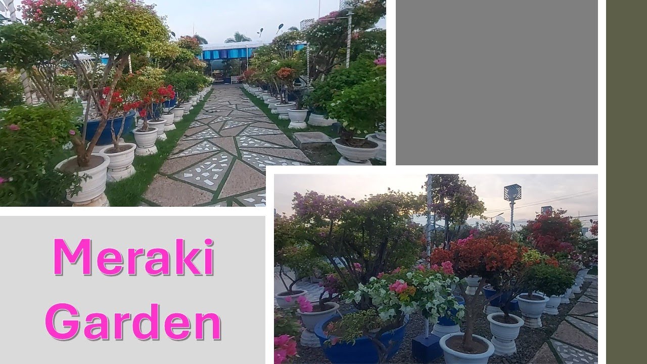Meraki Garden - YouTube