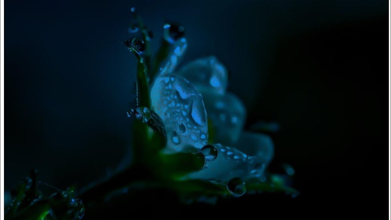 ( maple heaven ) # 68 ( How to edite moody photo ) - YouTube