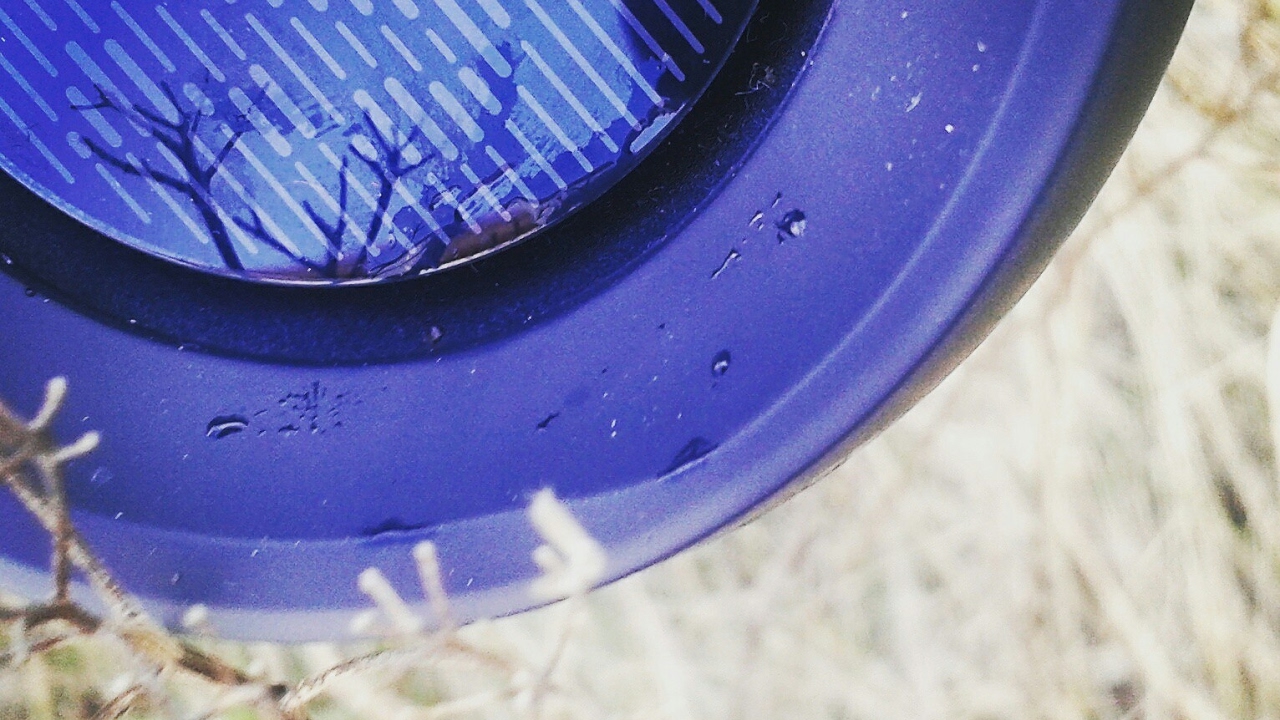 Darius Live's broadcast - YouTube