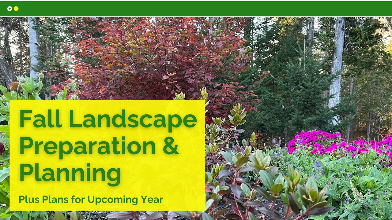 Fall Preparation | 1 Year Update on Brook & Pond Landscape | What's ...