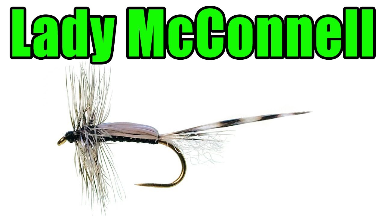Chan's Lady McConnell Chironomid Dry Fly Tying - Brian Chan Fly Pattern ...