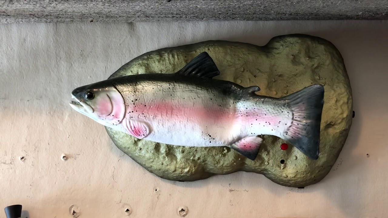 1999 Travis the singing Trout - in collection - YouTube