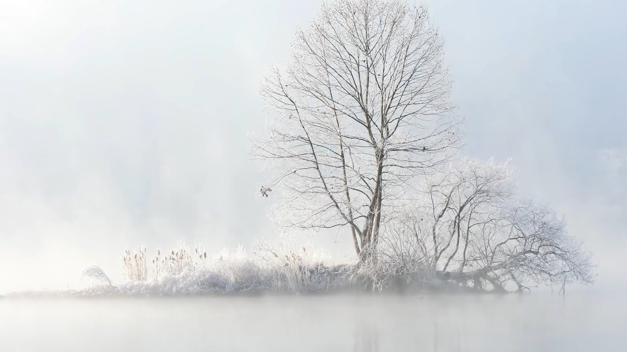 Relaxing music for reading, study, sleep, mediation & stress relief ...