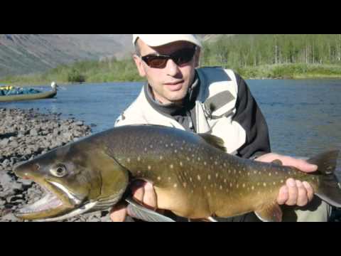 Fischen in Russland - YouTube