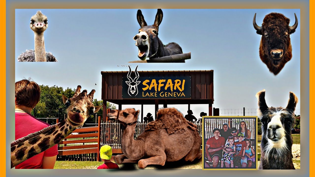 SAFARI.... Drive Through Safari in Lake Geneva, WI...Part One! - YouTube