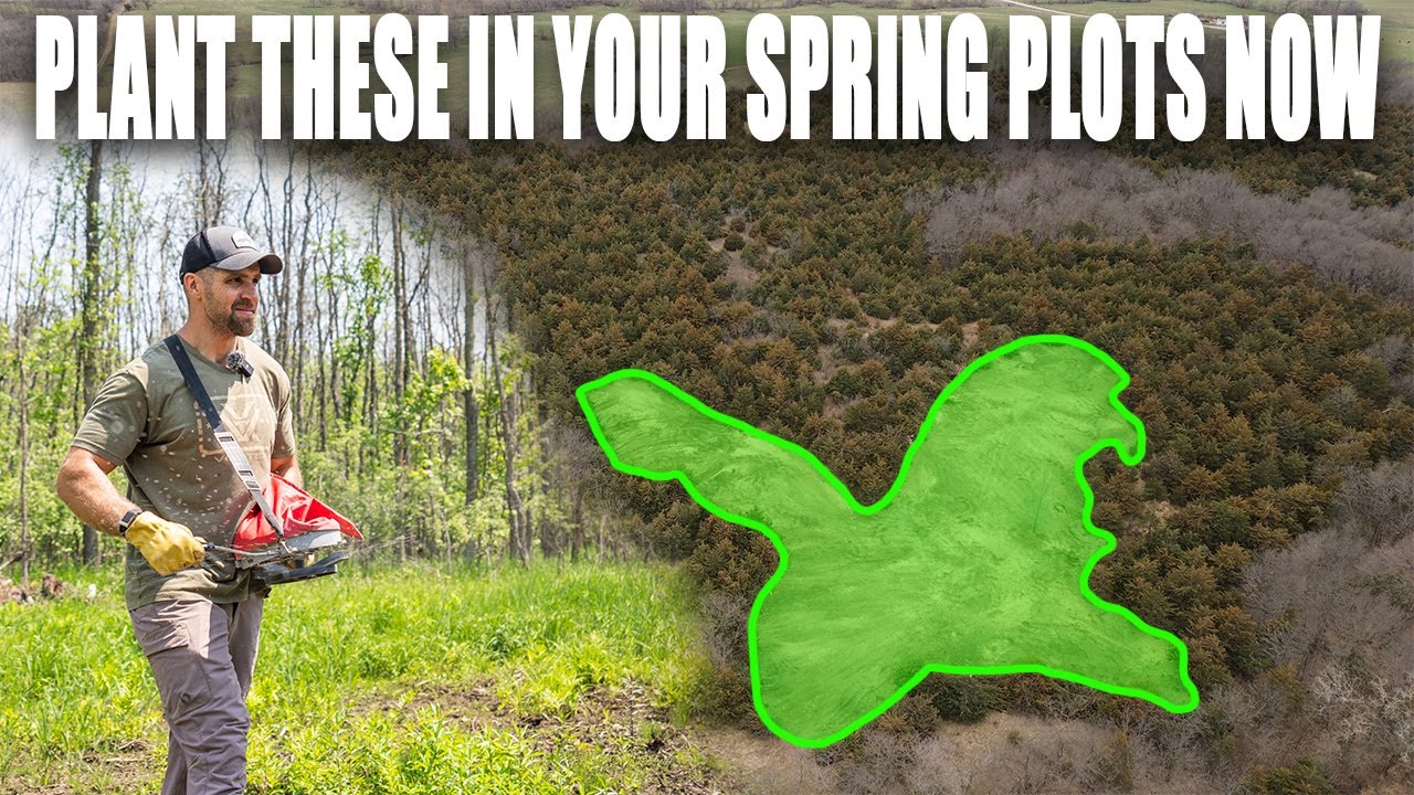 SPRING FOOD PLOTS (Plant Them Now!) - YouTube