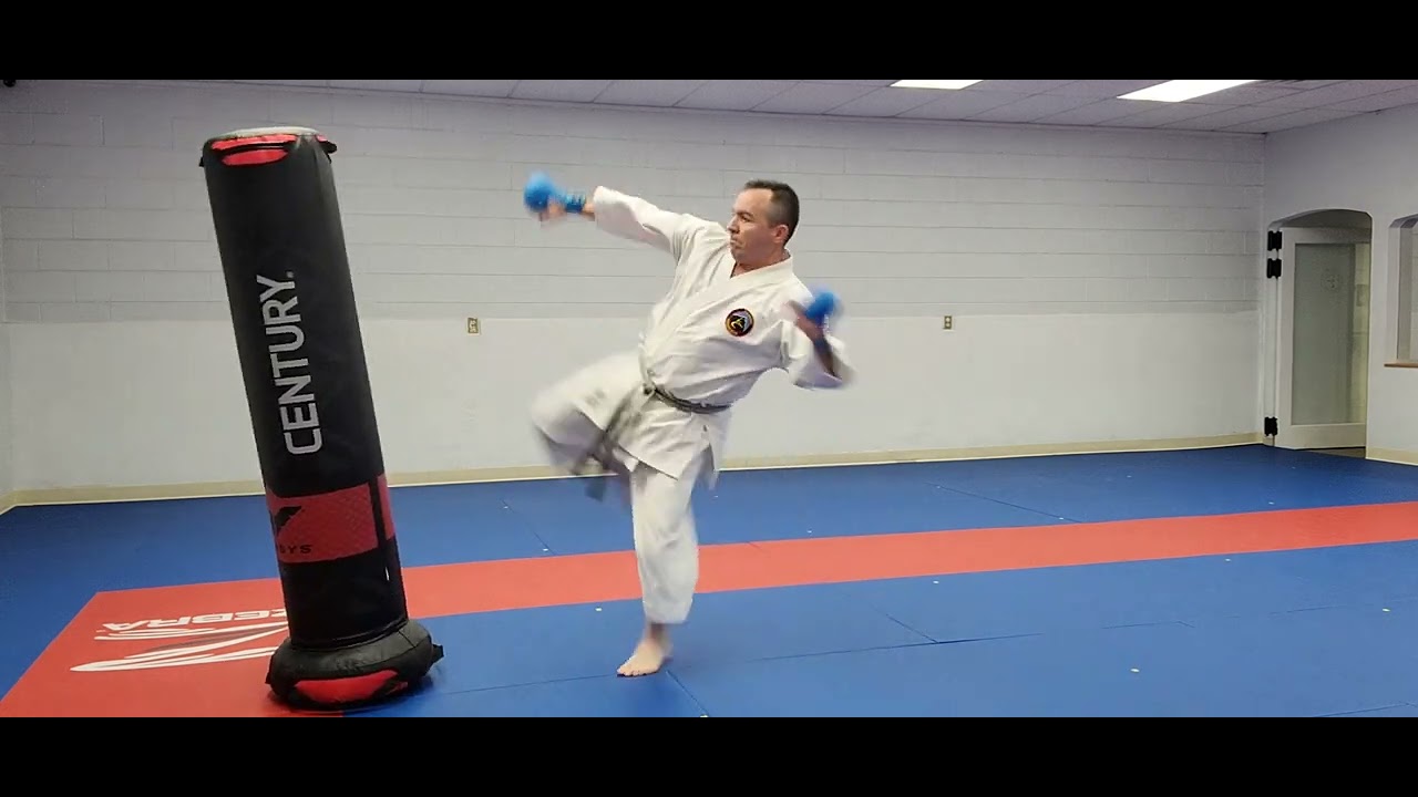 Karate Practice Aid for beginner students - YouTube