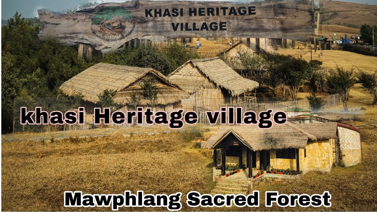 |Mawphlang Sacred Forest | Khasi Heritage village | Meghalaya | # ...