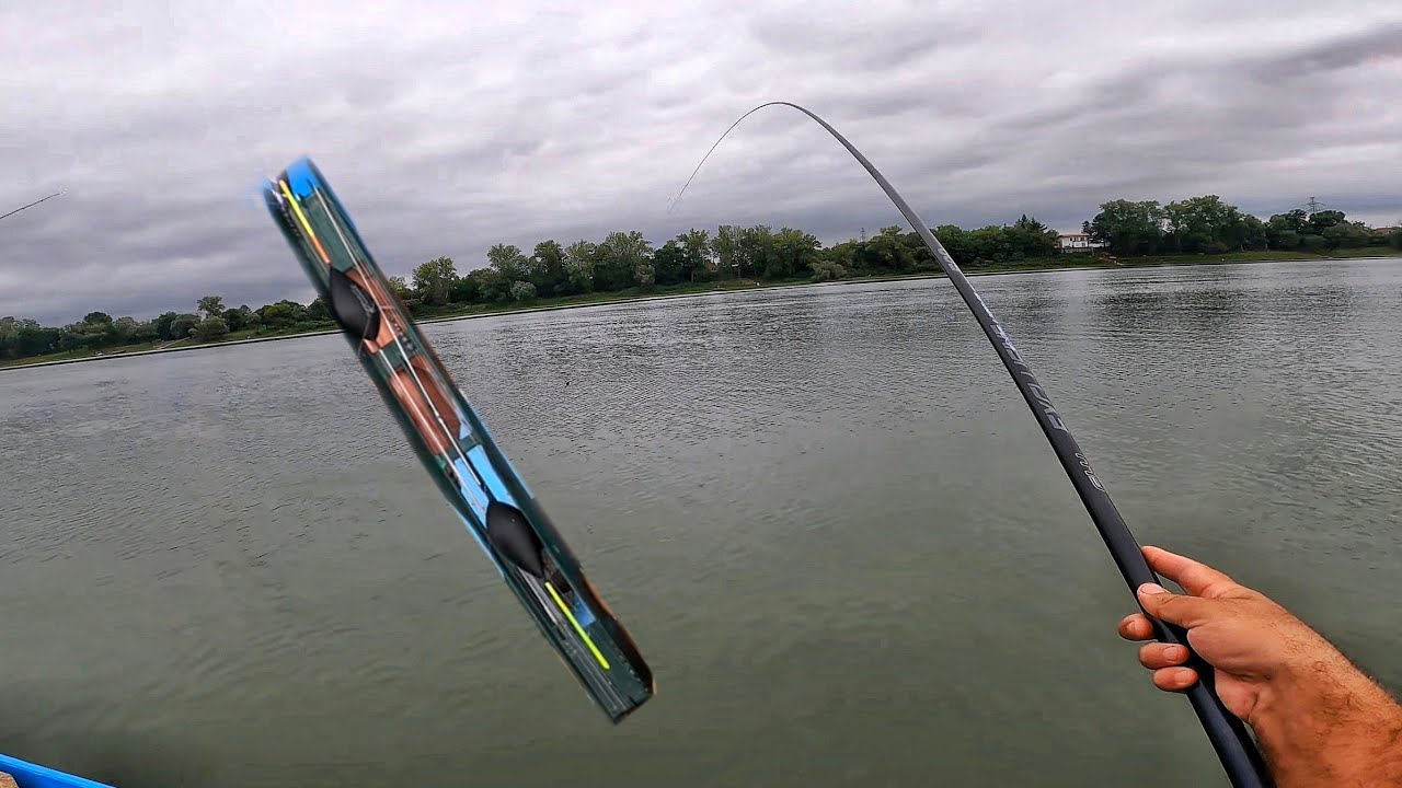 Bela Riba na Plovak I Pecaljku - Sava Ušce ( part 1 ) - YouTube