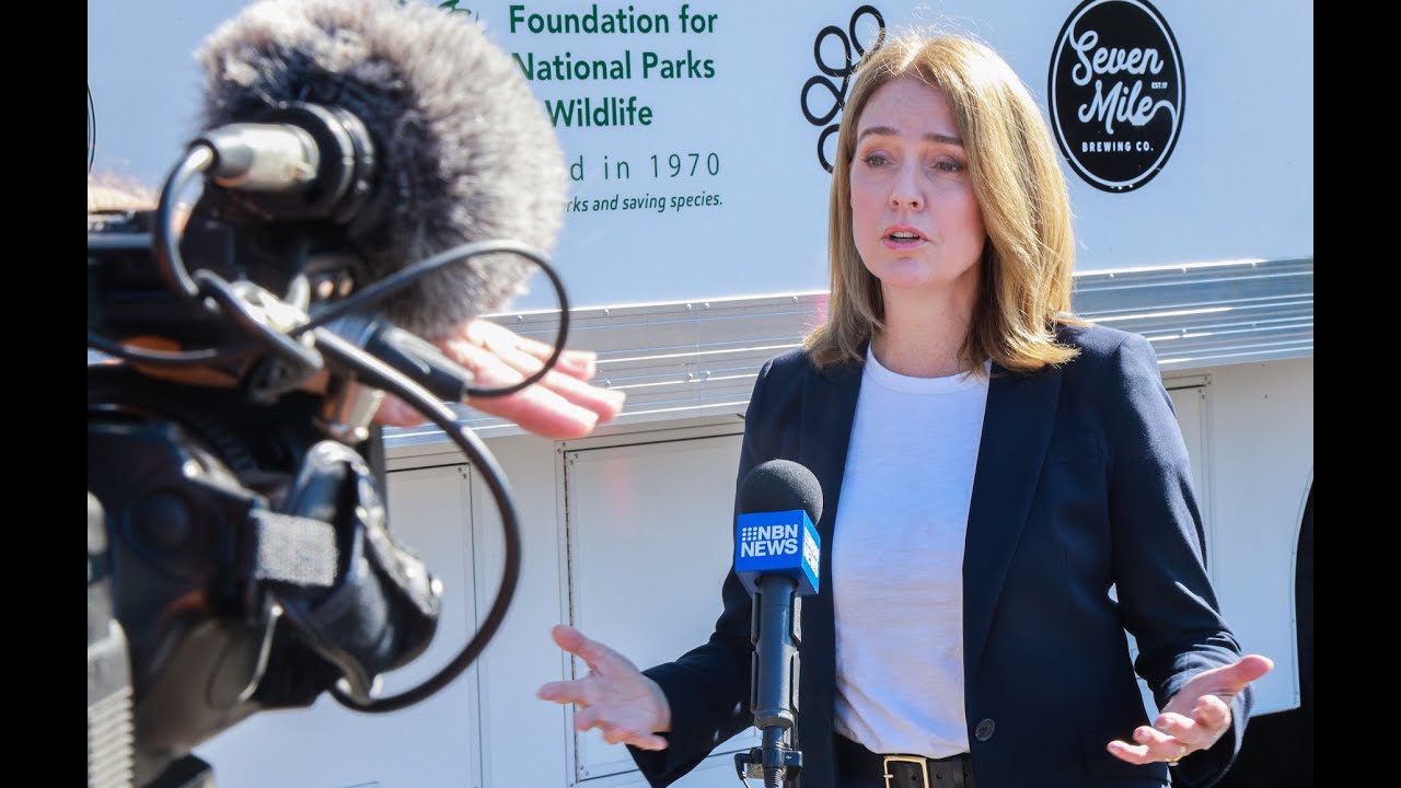 Nine News Interview with NSW Shadow Environment Minister Kellie Sloane ...