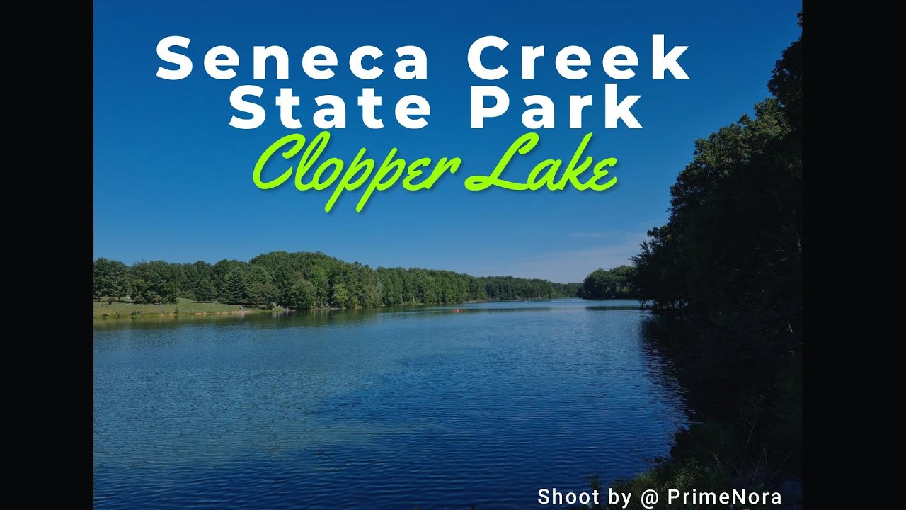 (42) Seneca Creek State Park, MD (Sep, 2020) - YouTube
