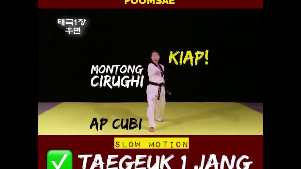 LEARN TAEKWONDO - TAEGEUK 1 IL JANG - YouTube