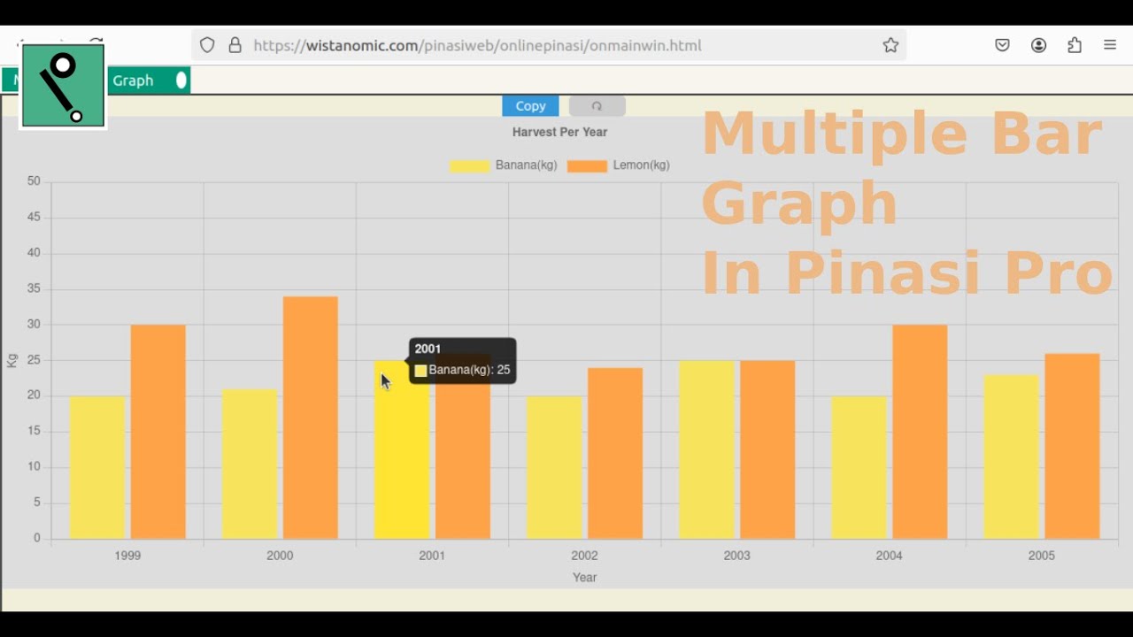 How To Make Multiple Bar Graph Online With Pinasi - YouTube