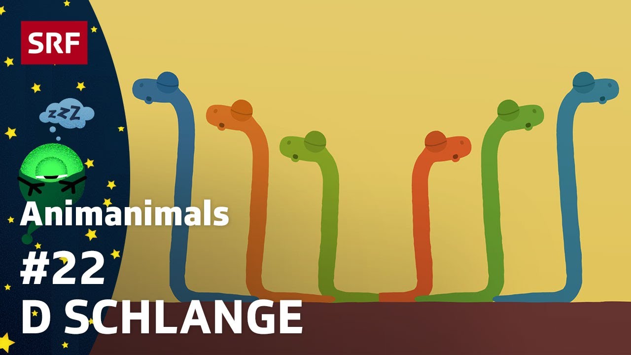 Guetnachtgschichtli: Animanimals – Schlange #22 | Kindervideos | SRF ...