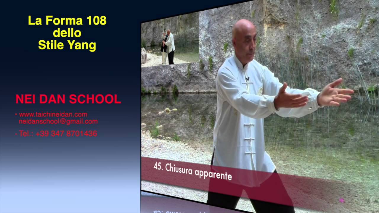 Nei Dan - Forma 108 Yang - YouTube