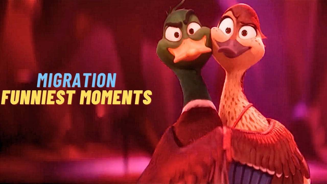 Migration: Funniest moments - YouTube