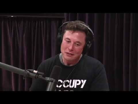 Elon Musk on love