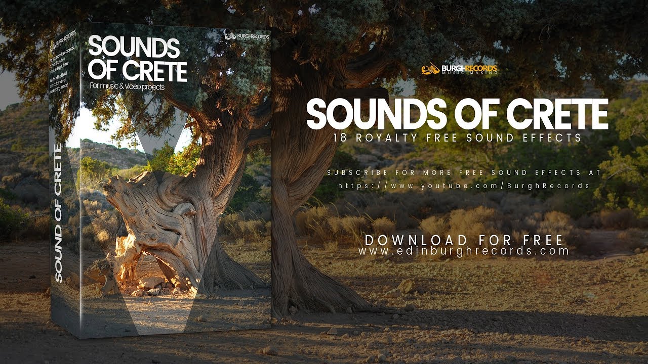 Free Wildlife Sound Effects | Nature Sound Effects - YouTube