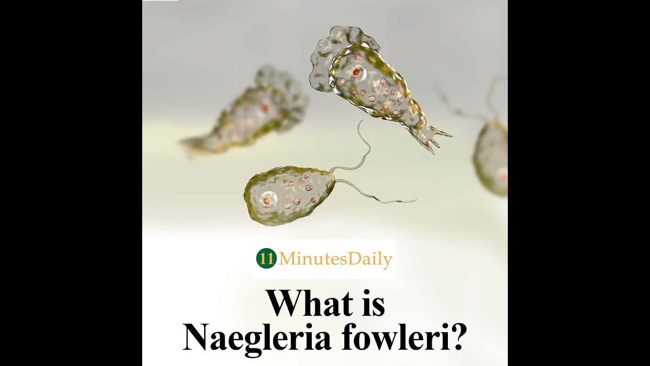 Fact About Naegleria Fowleri - YouTube