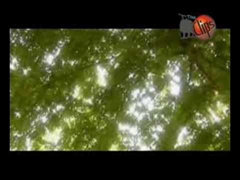 Довран Токгаев - Suw Almaga gelmezmi