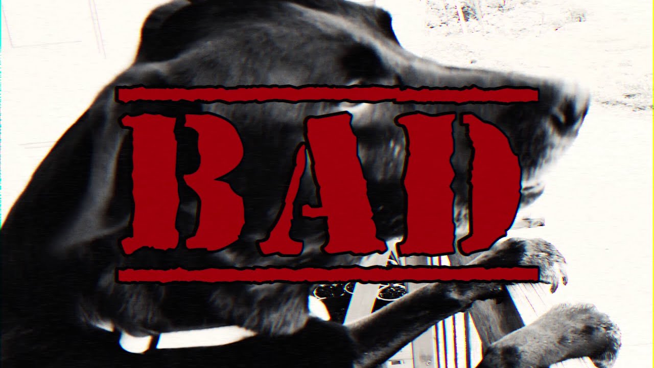 Is Max A Dog We Can Trust Attack Ad YouTube is-max-a-dog-we-can-trust-attack-ad-youtube