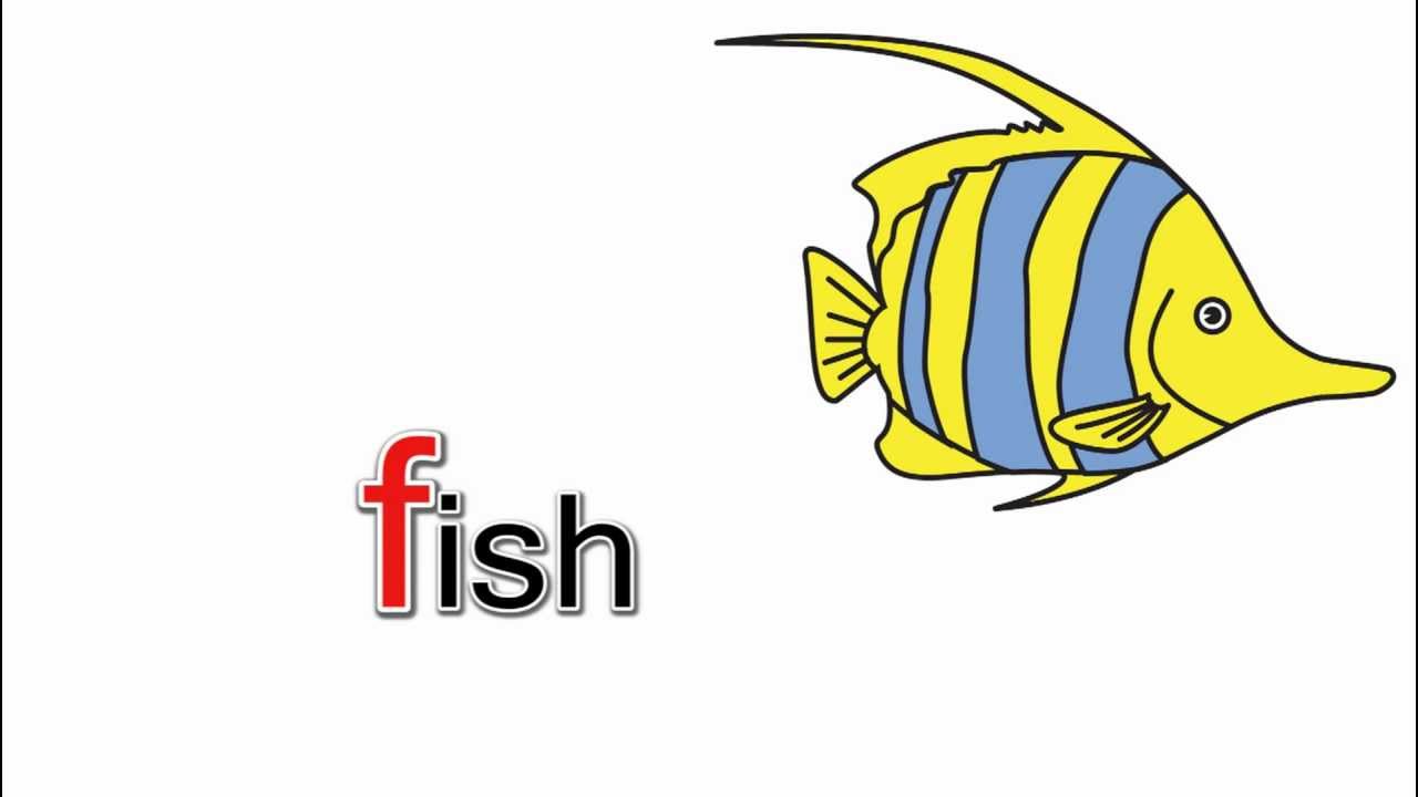 F - Ring Card Phonics - YouTube