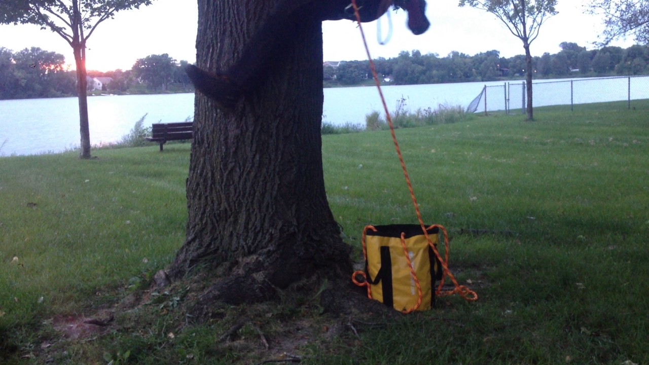 Entering Tree: Lanyard Crawl Technique Women's Tree Climbing Workshop ...