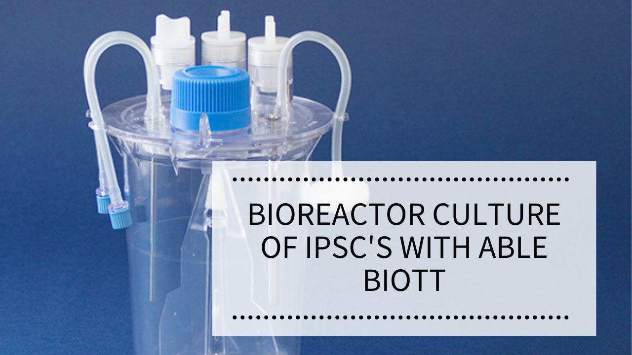 Bioreactor Culture of iPSC's with ABLE Biott | REPROCELL - YouTube