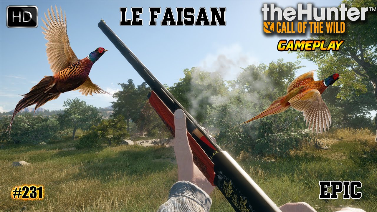 THEHUNTER COTW #231 UNE SUPERBE CHASSE AUX FAISANS AU CALIBRE 16 ! SUR ...