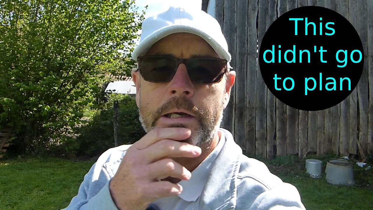 My £19k farm - Wednesday vlog - Episode 610 - YouTube