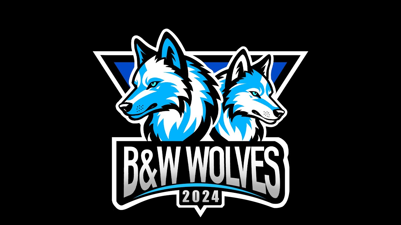 B&W Wolves Games in Magdeburg. Auf bald bei uns im Laden! - YouTube