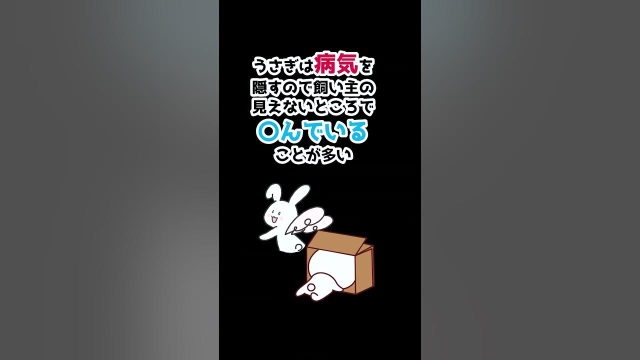 【雑学】今すぐ誰かに教えたくなる豆知識5選 37 Shorts Youtube