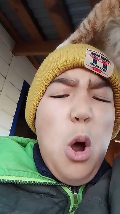Вытоги он остался живой Youtube