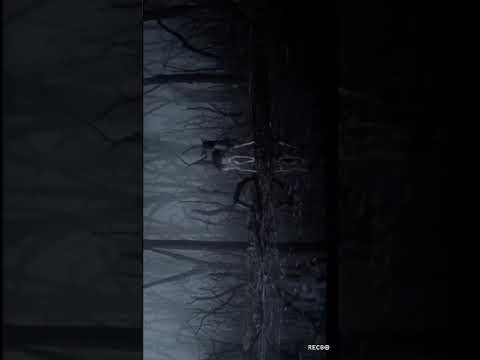 The Witcher  dövüş sahnesi