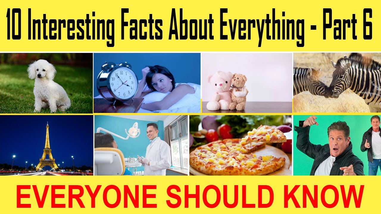 10 Interesting Facts About Everything Part 6 - 10 Unknown Facts ...
